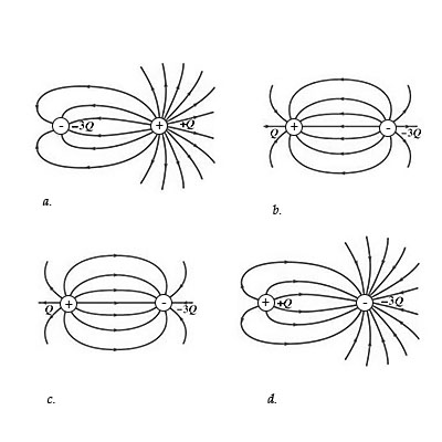 Choose the correct picture of the electric field lines about two point ...