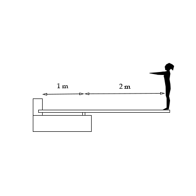 A diving board of length 3.00 \ m is supported at a point 1.00 \ m from ...