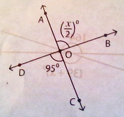 Find the value of x and the measure of angle BOC. | Homework.Study.com