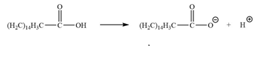Give the step by step mechanism for the esterification of glycerol with ...