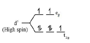 Identify the d-orbital diagram for a metal in an octahedral complex in ...