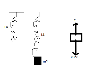A spring is hanging from a post with total length L_o as shown. When a ...
