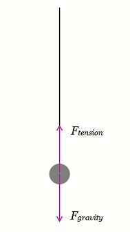The string of a pendulum is horizontal. Mass of the bob is m. Now the ...