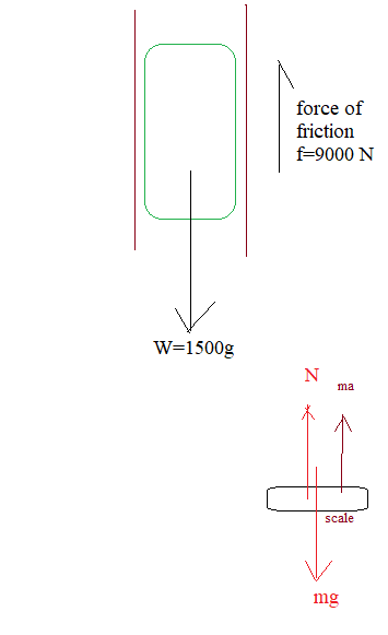 An elevator's cable is cut causing the elevator to slide down thhe ...