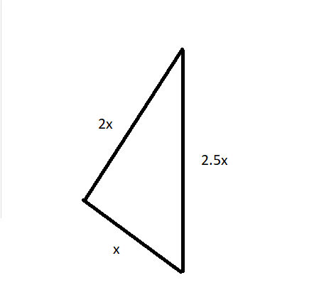 What is the value of x? | Homework.Study.com