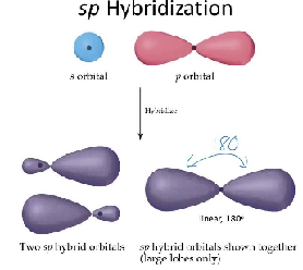 Why does the sp orbital look spherical while the sp^3 orbital is kinda ...