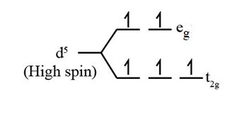 Identify the d-orbital diagram for a metal in an octahedral complex in ...