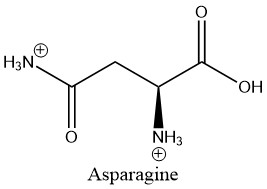 4) The following is a teaching l4) The following is a teaching ...