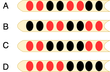 Which sordaria asci does not show meiotic recombination? | Homework ...