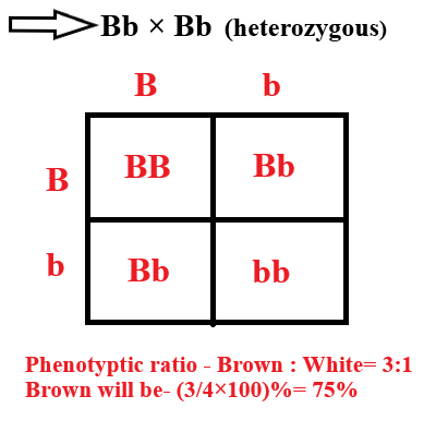 Dominant And Recessive Colors
