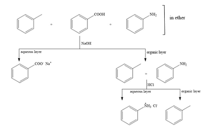 Acid Benzoic Reaction Chemical Reactions Synthesis Salt Chemistry Group ...