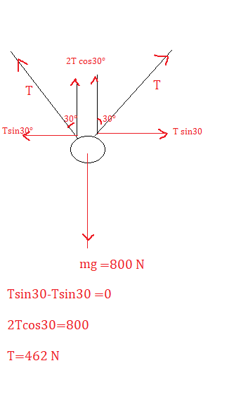 An 800 N gorilla swings from vine to vine. As the gorilla grabs a new ...