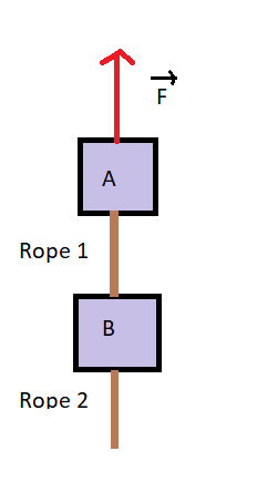 The figure shows two 1.0kg blocks connected by a rope. A second rope ...