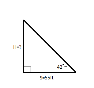 A pine tree creates a shadow of 55 feet when the sun is at an angle of ...