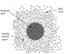Using relevant examples, explain the structure and formation of ...