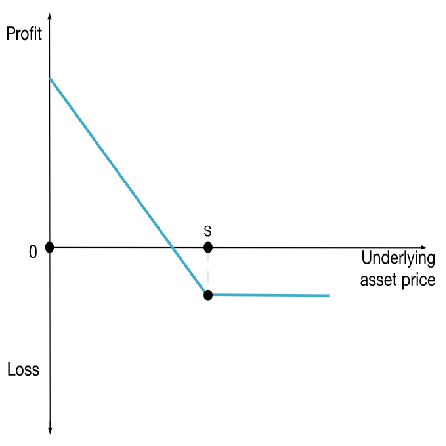 Explain, using a written and graphical explanation, the payoff from ...