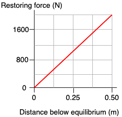 When you stand on a trampoline, the surface depresses below equilibrium ...