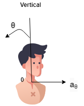 When studying whiplash resulting from the rear-end collisions, the ...