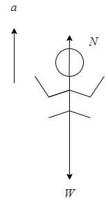 If a basketball player is getting ready to jump, pushing off the ground ...