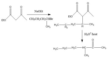 How would you prepare the given ketone using an acetoacetic ester ...