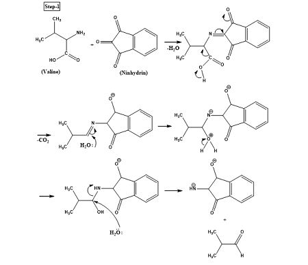 Show the structures of the products obtained from the reaction of ...