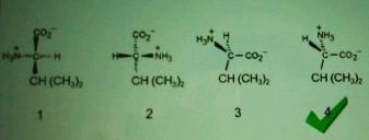 Which one of the following is S-valine? [{Image src ...