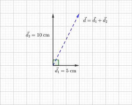 A man walked 5 cm east and 10 cm north. Calculate the distance covered ...