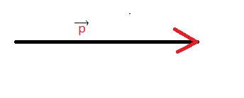 Find the magnitude of the following vector. U = 5i + 12j | Homework ...