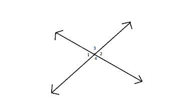 What is a vertical angle and what is an adjacent angle? | Homework ...