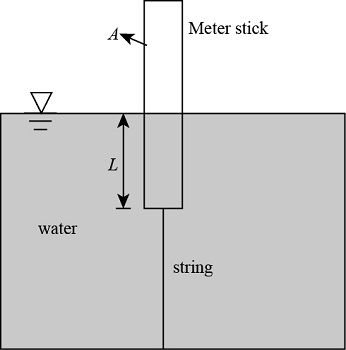 A wooden meter ( Swood = 0.5 ) meter stick floats in water with a ...