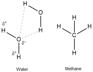 Why is water (H_2O) a liquid at room temperature while methane (CH_4 ...