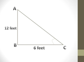 A 12 ft pole casts a shadow that is 6 ft long. How high is a tree that ...
