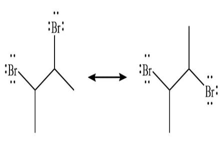 Draw all the possible isomers for dibromobutane. | Homework.Study.com