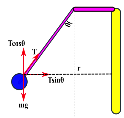 An amusement ride consists of a rotating circular platform 8 m in ...