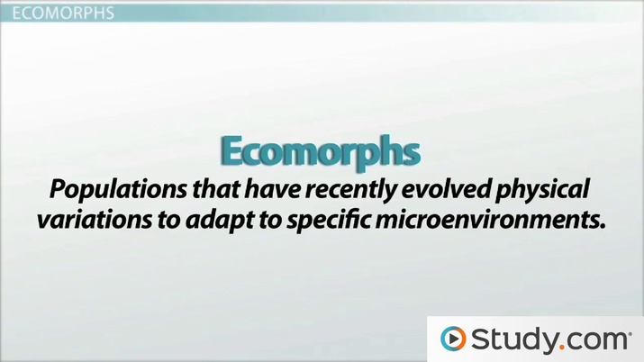 Intraspecific Competition Examples